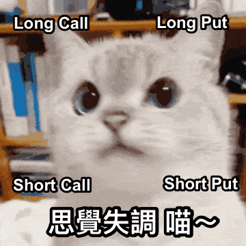 Long Call Long Put Short Call Short Put 思覺失調 喵～