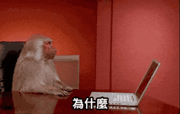 20張年度最好笑、熱門 GIF 梗圖 - 梗圖倉庫