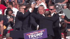 20張超好笑【Fight】 GIF 梗圖！快來看看網友們的搞笑創作！