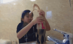 20張超好笑【噴出】 GIF 梗圖！快來看看網友們的搞笑創作！