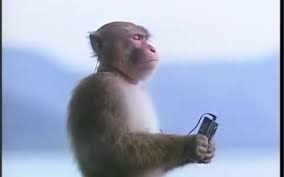 20張超好笑【猴子聽】梗圖！快來看看網友們的搞笑創作！